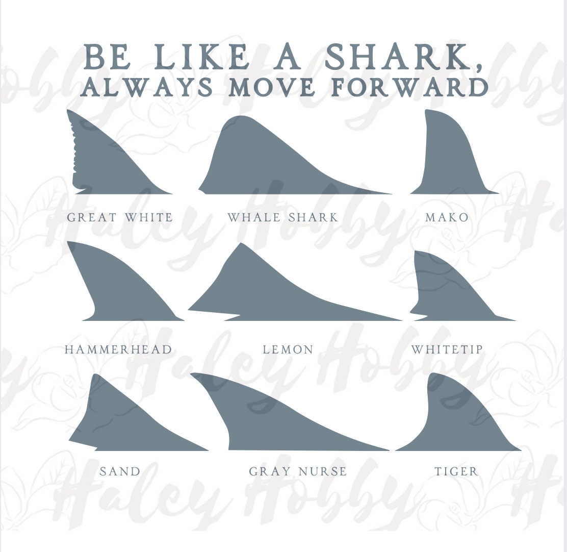 Shark Fins and Types of Sharks Boy Girl Shirt 2 Sided Set PNG - Etsy ...