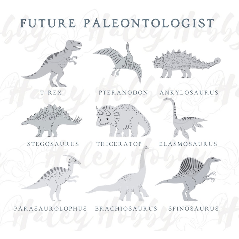 Paleontologist - Etsy