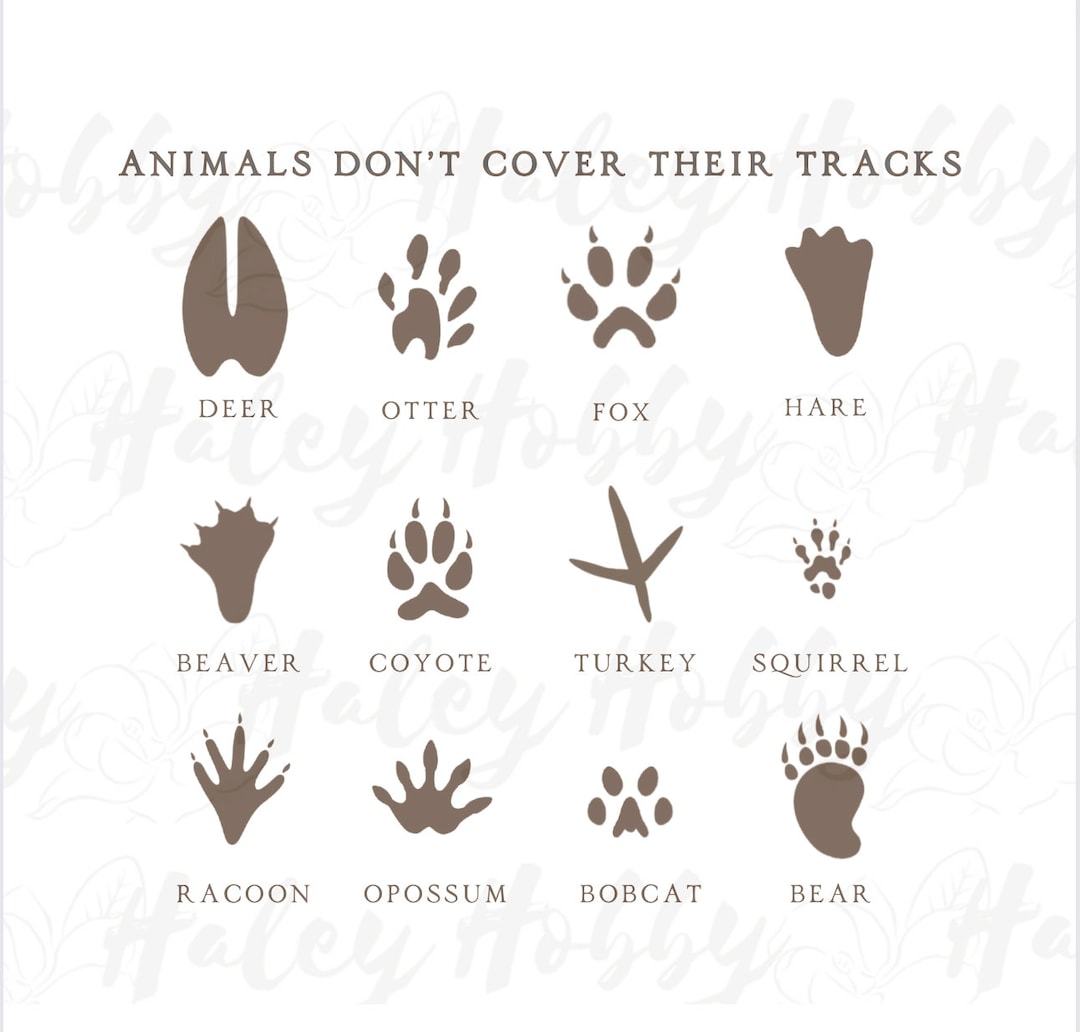Junior Wildlife Tracker Animal Tracks Sketch Boy Girl Shirt 2 Set PNG ...