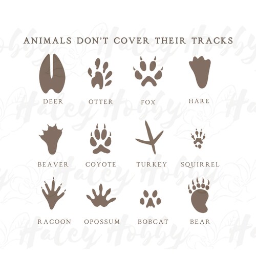 Junior Wildlife Tracker Animal Tracks Sketch Boy Girl Shirt 2 - Etsy