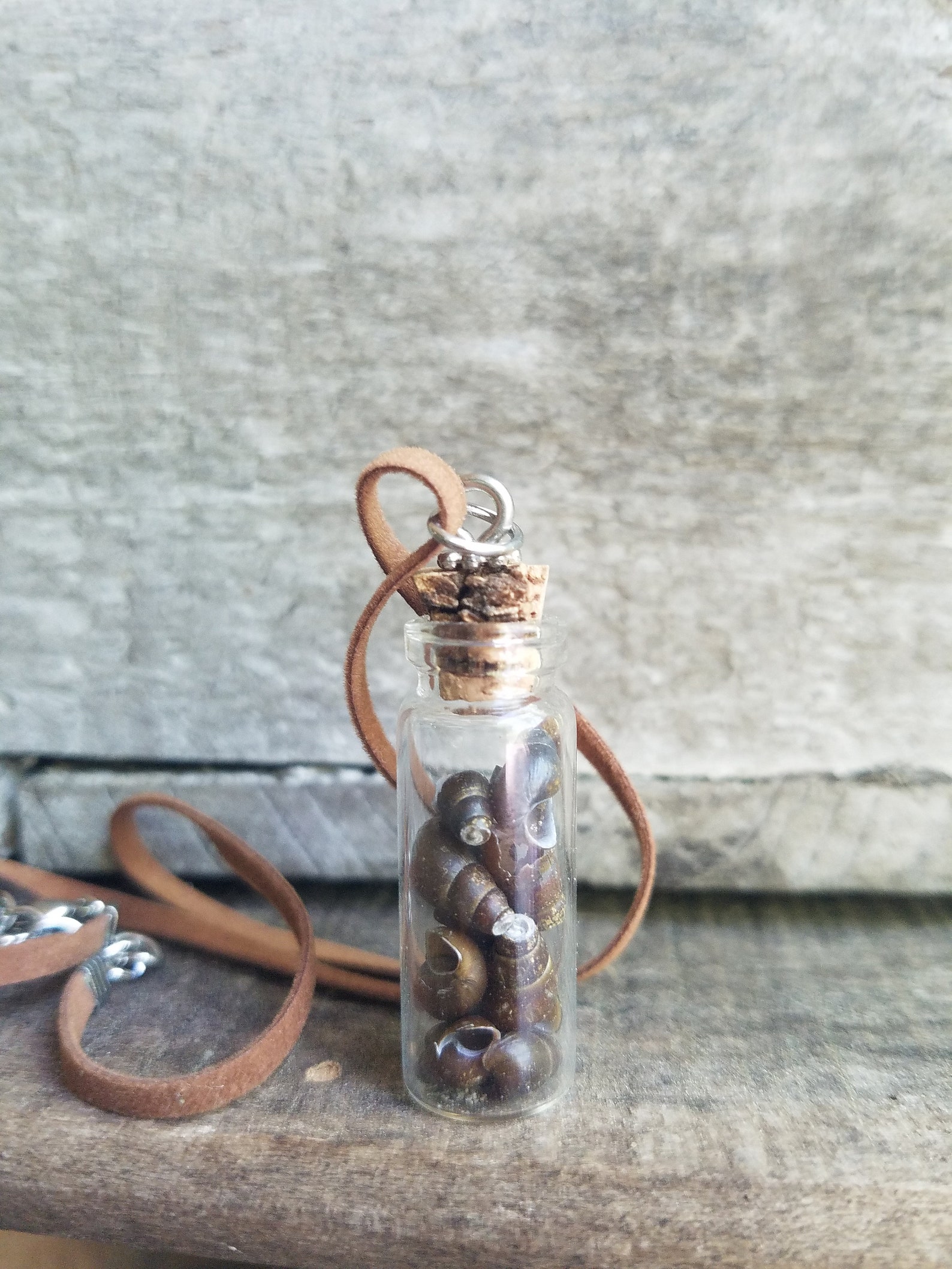 Freshwater Snail Shells, in Tiny Glass Vile on Suede Necklace - Etsy