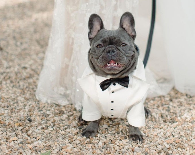 Ivory Dog Tuxedo French Bulldog Suit Formal Dog Tuxedo Custom - Etsy