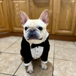 Custom Dog Tuxedo: Formal Wedding Outfit for Any Breed - Etsy