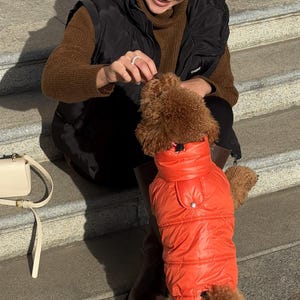 Bright Orange Reflective Dog Vest With High Collar - Custom Size Warm ...
