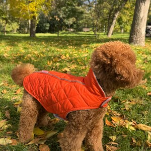 Orange Sport Dog Cape With Reflective Strips and Adjustable Snaps - Etsy