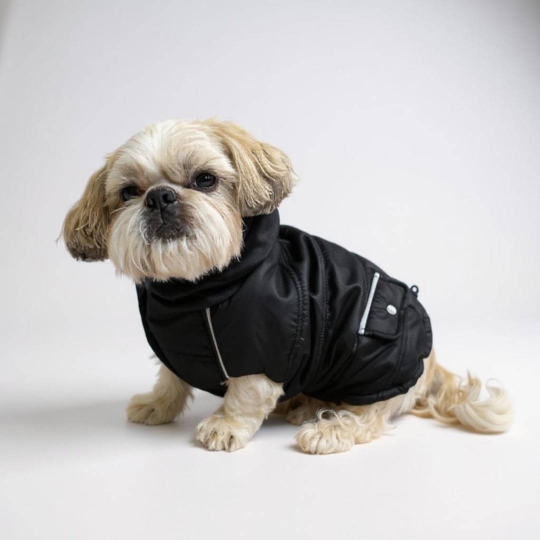 Black Warm Dog Vest With Hood, Adjustable Straps, and Leash Opening ...