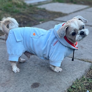 Light Blue Velour Dog Tracksuit With Orange Accents - Etsy