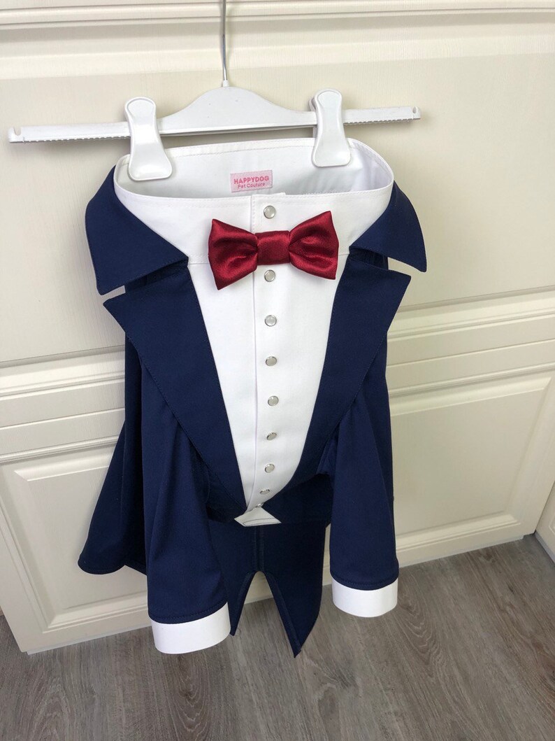 Navy Blue Dog Tuxedo With Burgundy Bow Tie Labrador Dog Suit - Etsy
