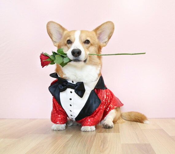 Red Sequins Dog Tuxedo With Black Bow Tie Dog Wedding Attire - Etsy