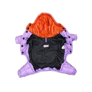 Bright Winter Dog Puffer Suit: Wind Resistant Custom Dog Coat - Etsy