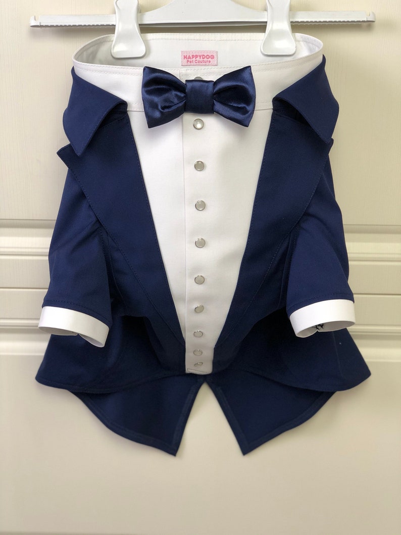 Navy Blue Dog Tuxedo With Blue Bow Tie English Bulldog Tuxedo - Etsy