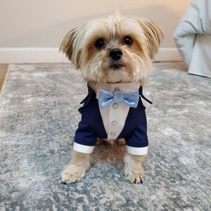Navy Blue Dog Tuxedo With Sky Blue Bow Tie Bespoke Dog Tuxedo Yorkshire Dog Suit Formal Dog Suit ...