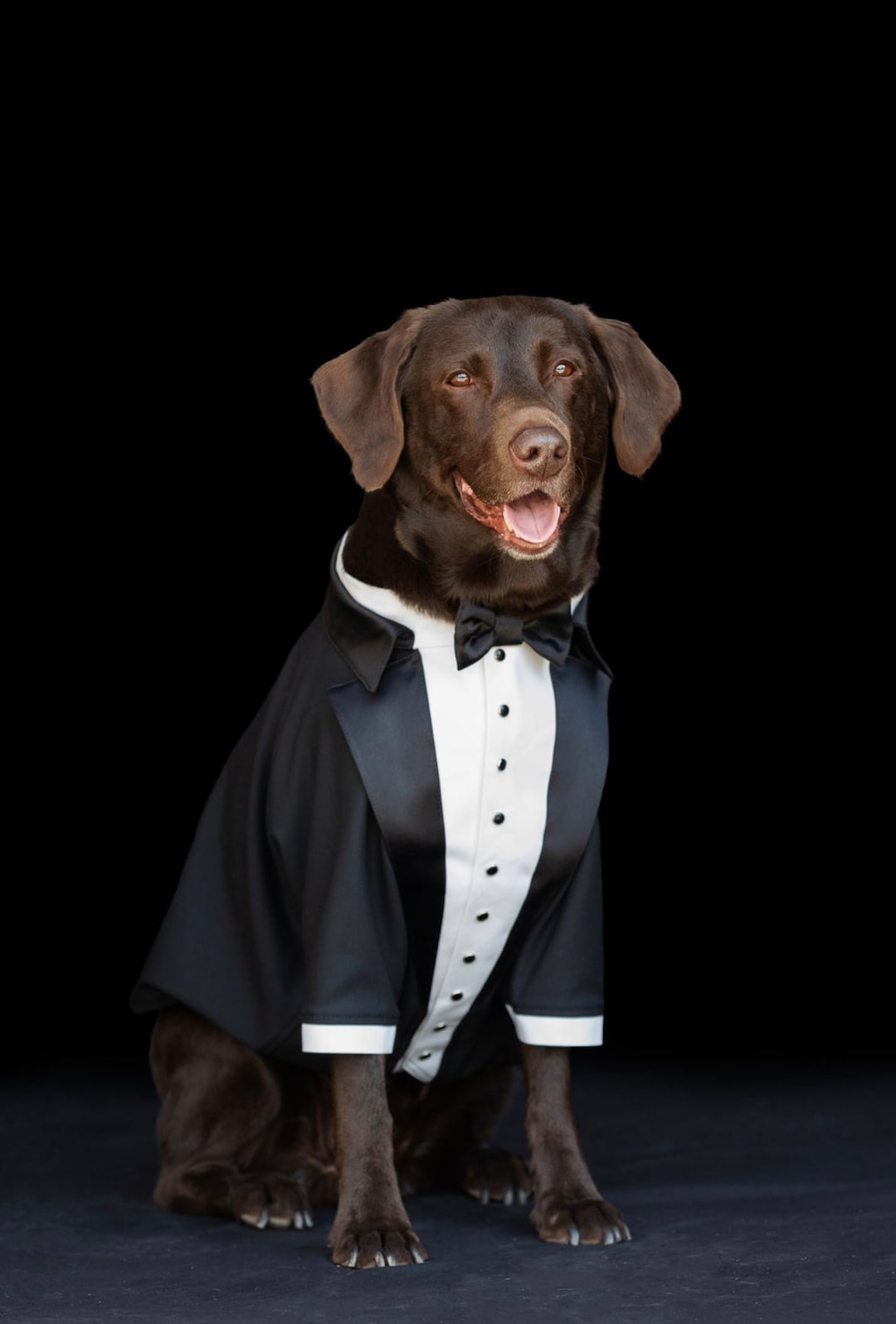 Luxury Black Satin Dog Tuxedo – Custom Wedding Suit for Dogs ...