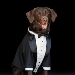 Luxury Black Satin Dog Tuxedo: Custom Wedding Outfit - Etsy