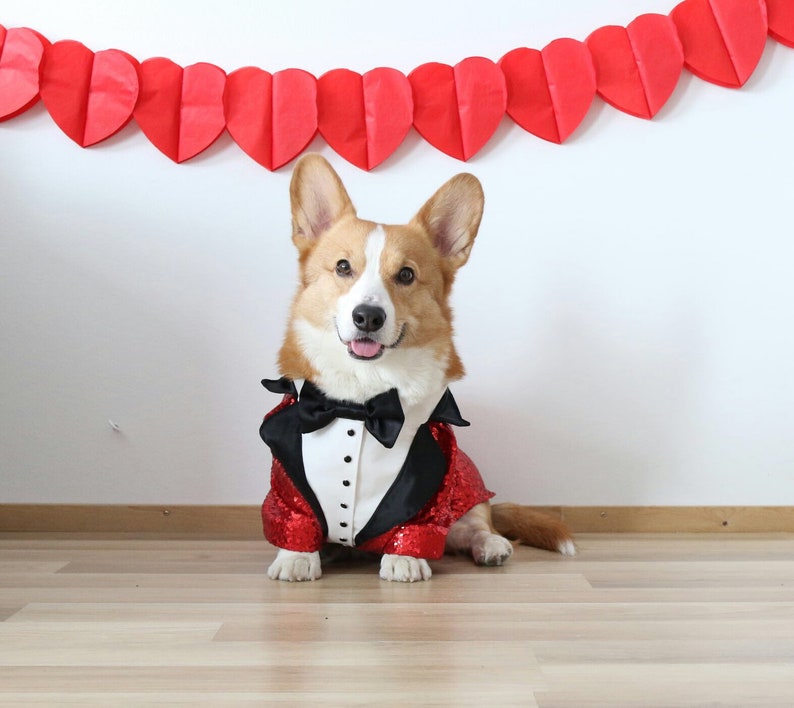 Red Sequins Dog Tuxedo With Black Bow Tie Dog Wedding Attire - Etsy