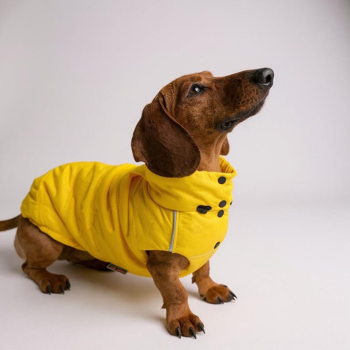 Puffy Yellow Dog Vest: Winter Protection With High Collar - Etsy
