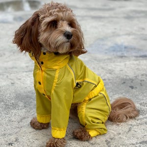 Yellow Hooded Raincoat – Waterproof & Custom Fit for All Breeds - Etsy