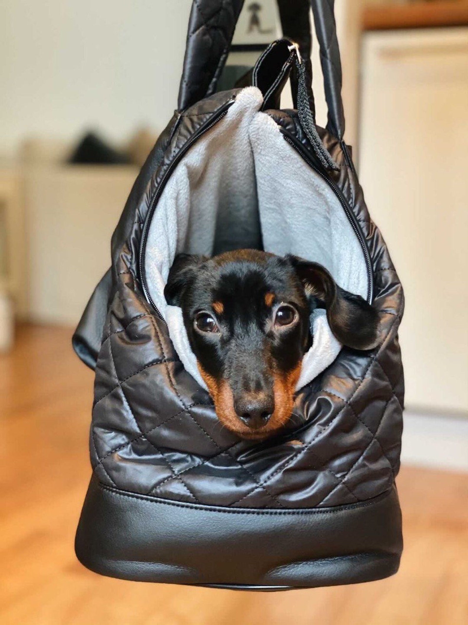 Personalized Black and Gray Designer Dog Carrier Winter Dog - Etsy