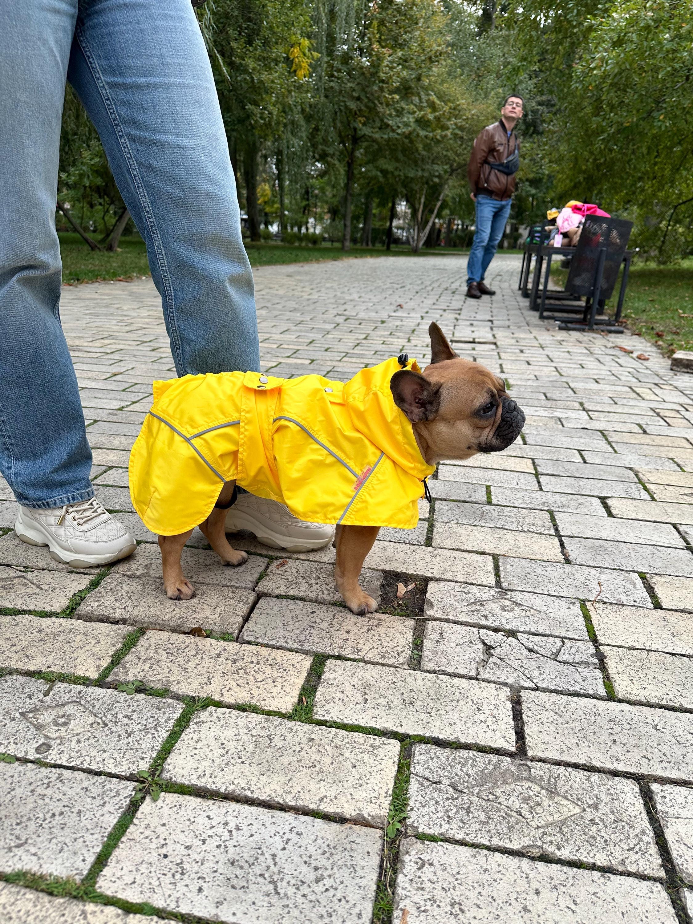 Bright Yellow Dog Cape – Stylish Protection for All Breeds - Etsy