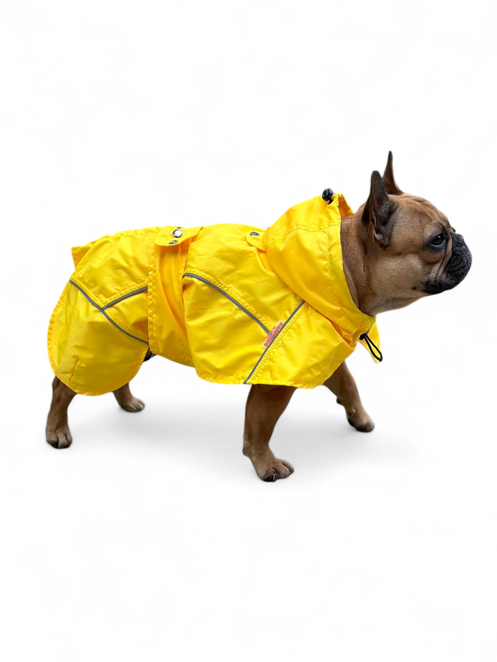 Bright Yellow Dog Cape – Stylish Protection for All Breeds - Etsy