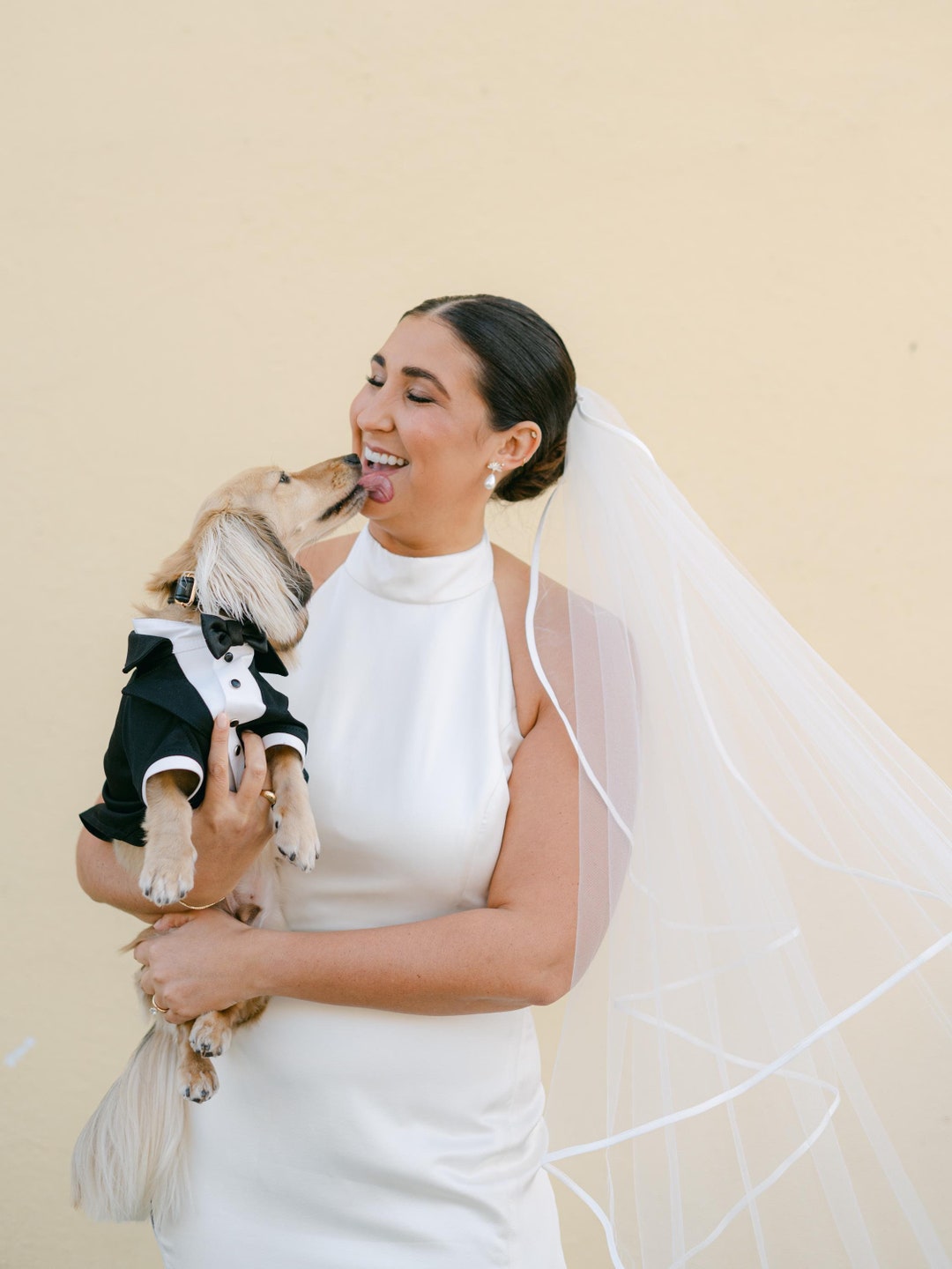 Custom Dog Tuxedo for Weddings: Handmade Black Formal Pet Suit - Etsy
