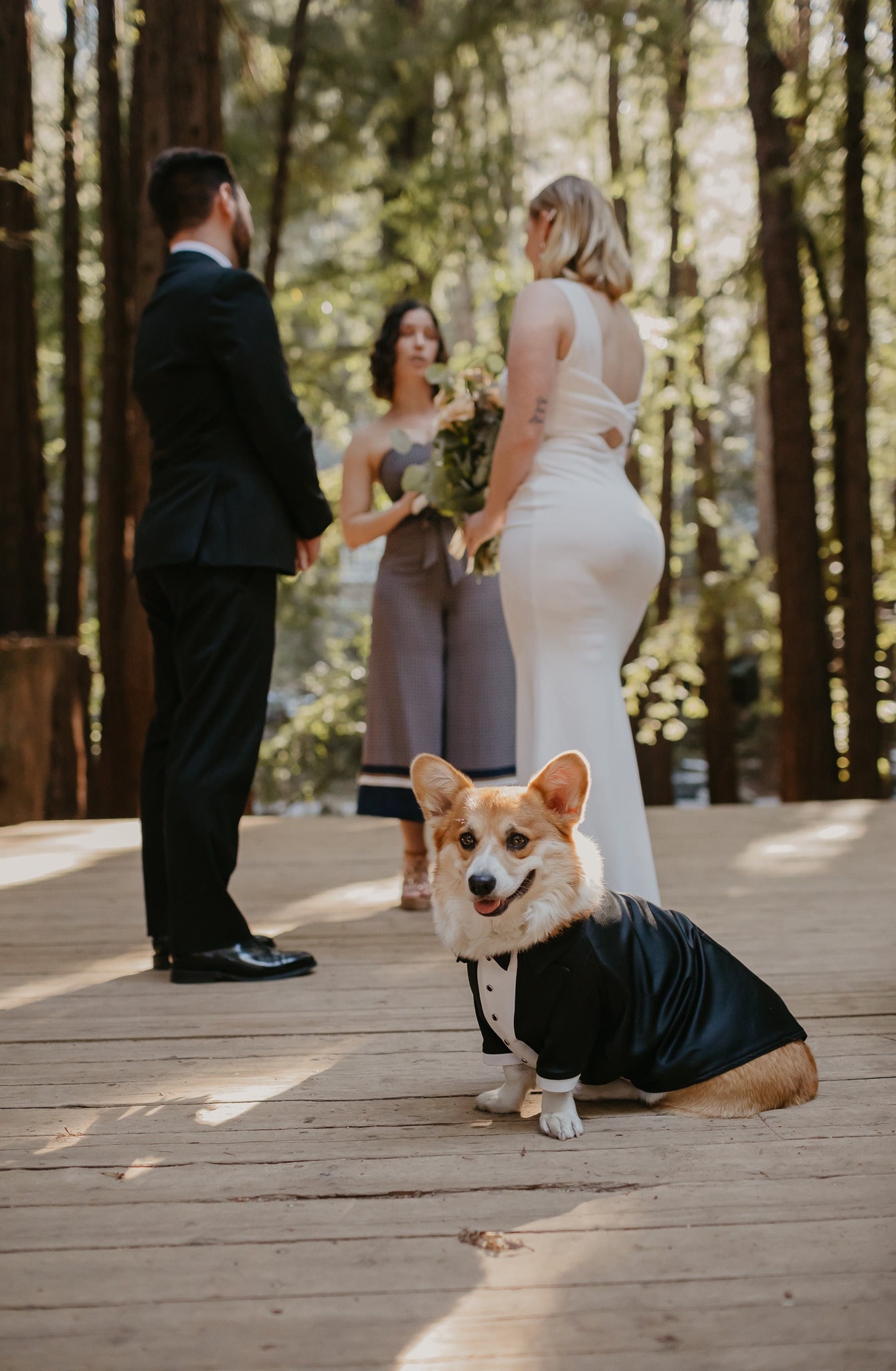 Corgi Wedding Dress