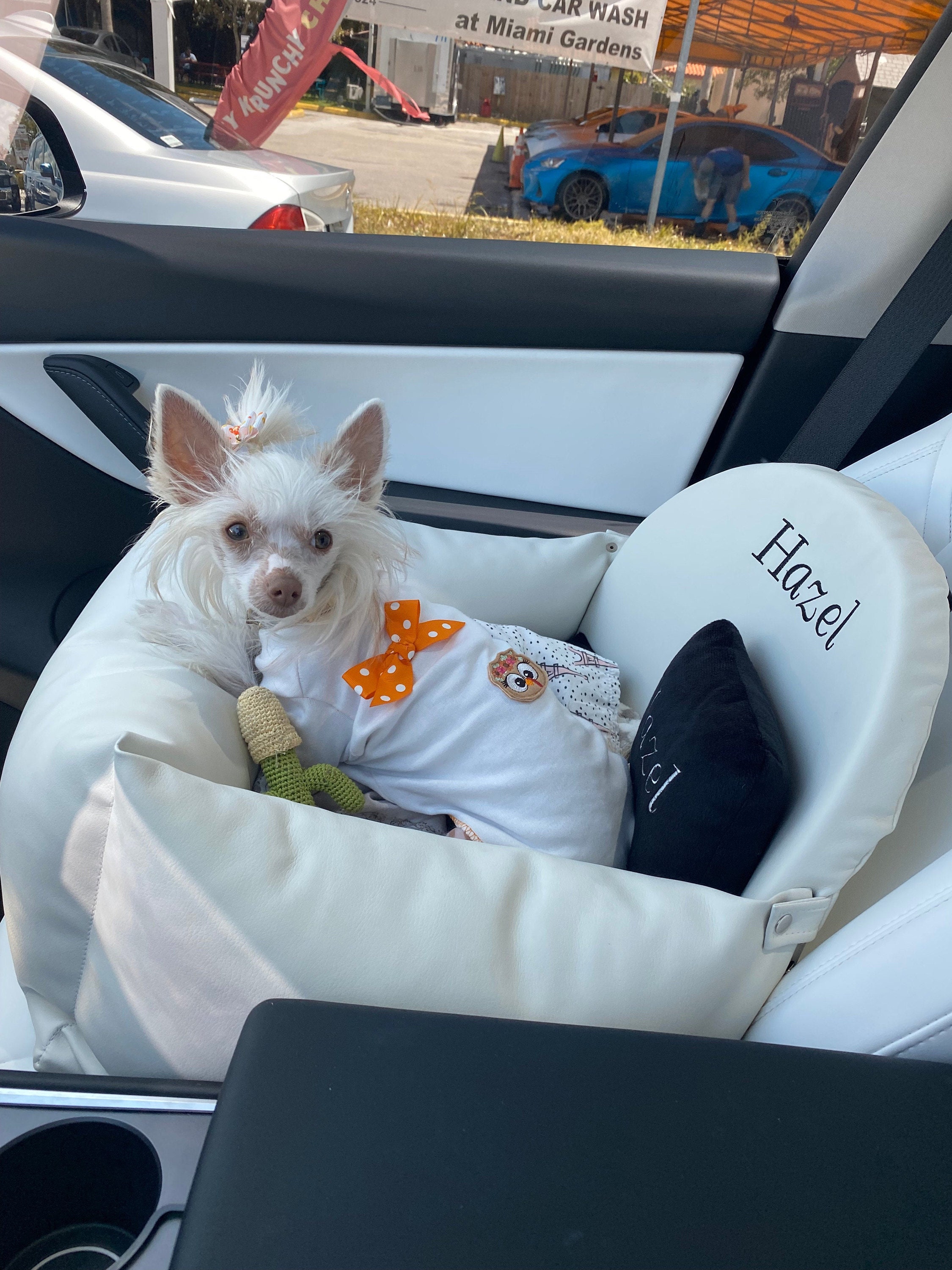 Cream and black personalized dog car seat Eco leather Dog | Etsy