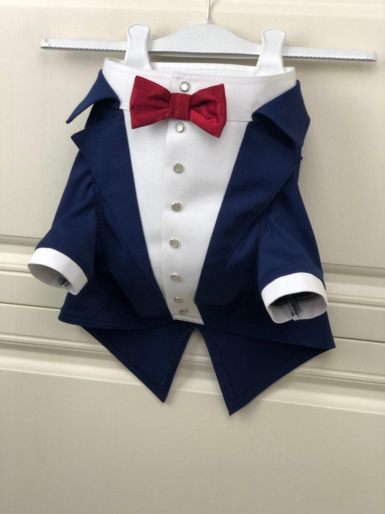 Bespoke Navy Blue Dog Tuxedo With Burgundy Bow Tie French - Etsy