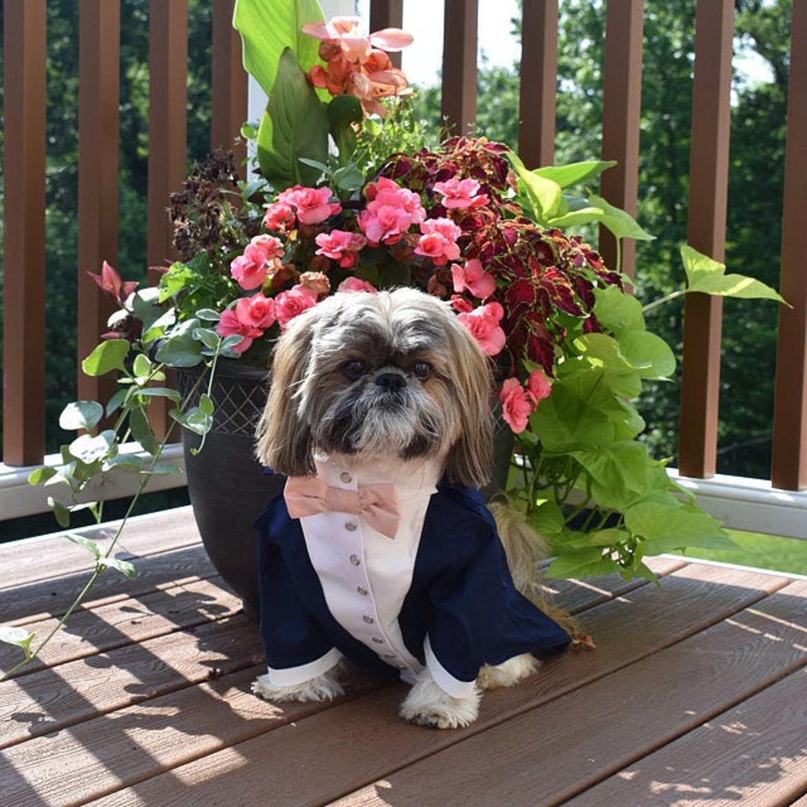 Dark Navy Blue Dog Tuxedo With Blush Bow Tie Dog Wedding | Etsy