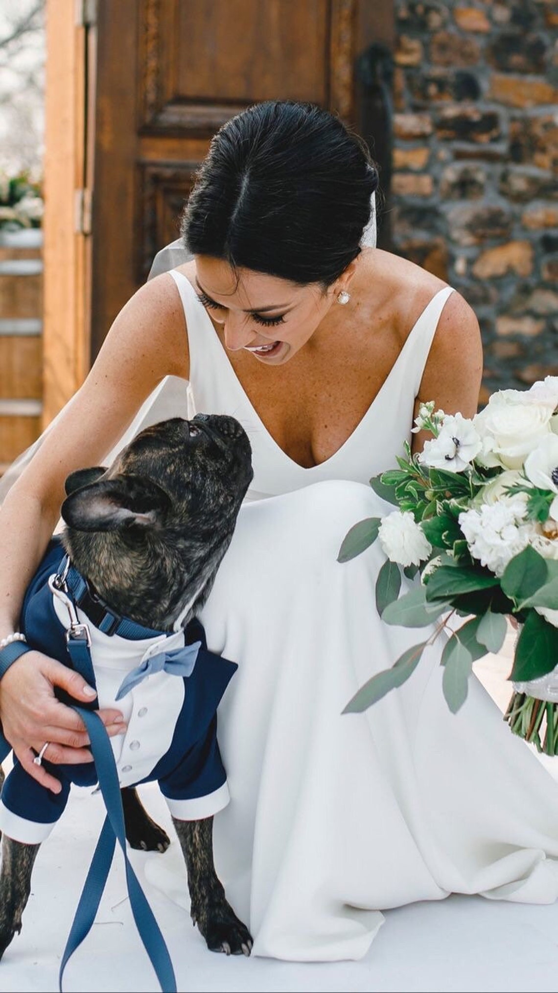 Navy blue dog tuxedo with blue bow tie Bespoke dog tux Dog | Etsy