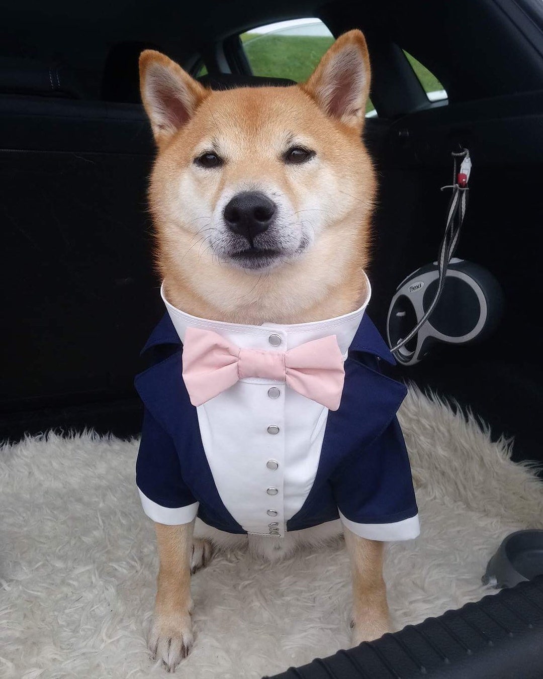 Navy Blue Dog Tux With Blush Bow Tie Dog Wedding Attire Formal Dog Suit Swallow-tailed Dog Coat ...