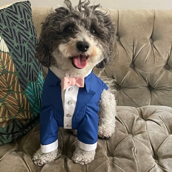 Dog Tuxedo - Etsy