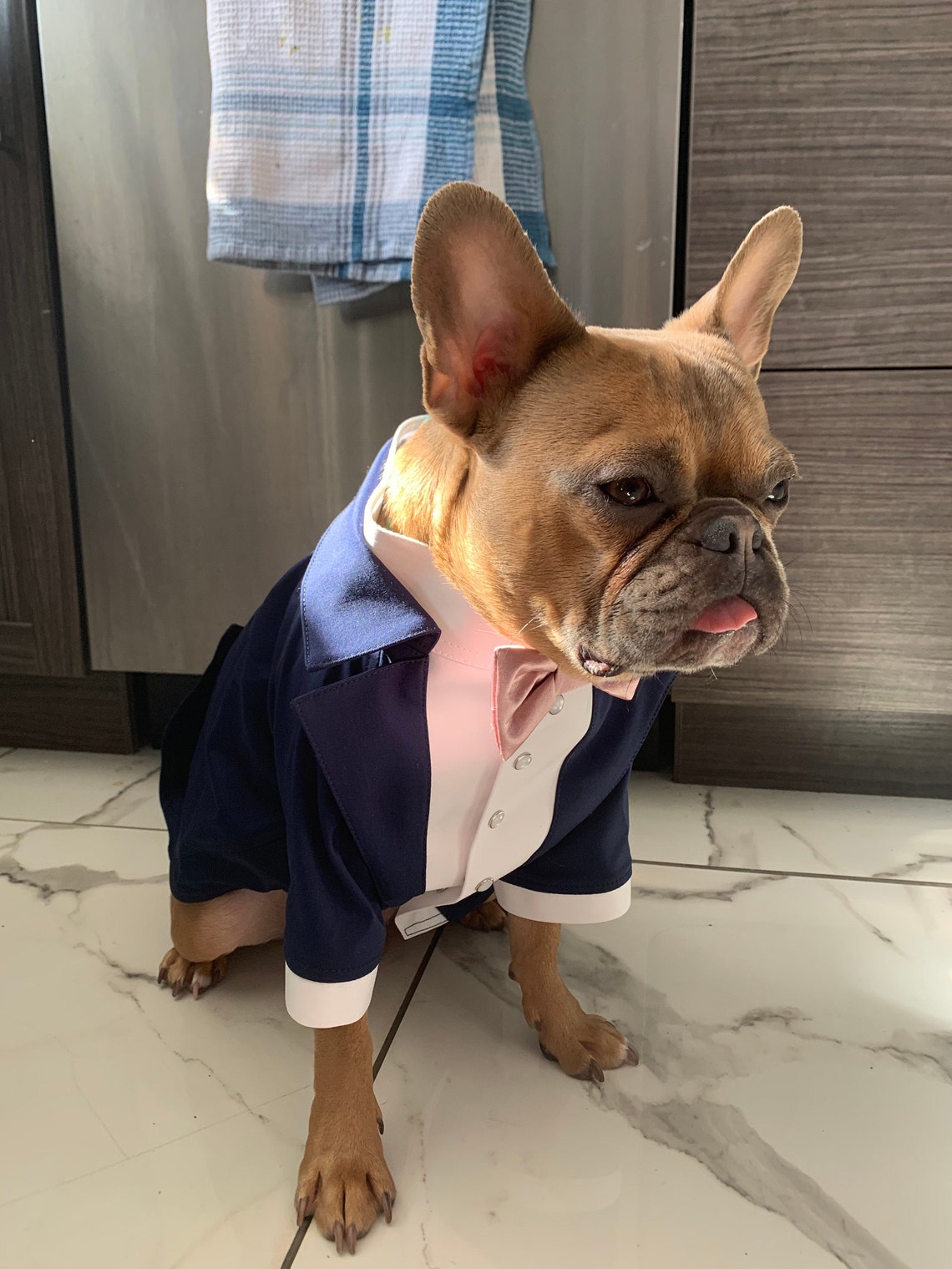 Navy dog tuxedo with dusty pink bow tie French bulldog tuxedo | Etsy