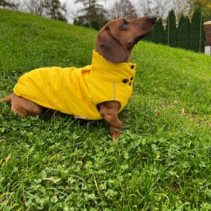 Puffy Yellow Dog Vest: Winter Protection With High Collar - Etsy