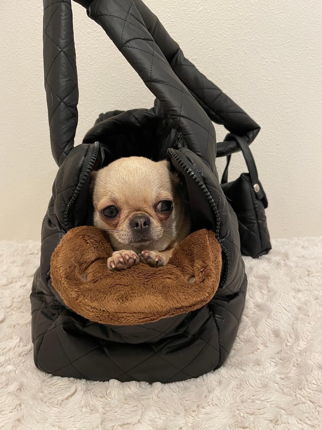 Black and Brown Custom Dog Carrier Exclusive Dog Carrier Bag for Small ...