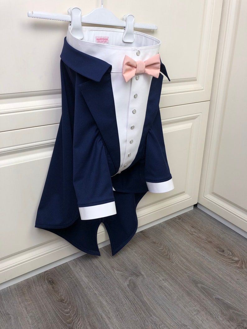 Navy Dog Tuxedo With Blush Bow Tie Labrador Retriever Dog Suit - Etsy