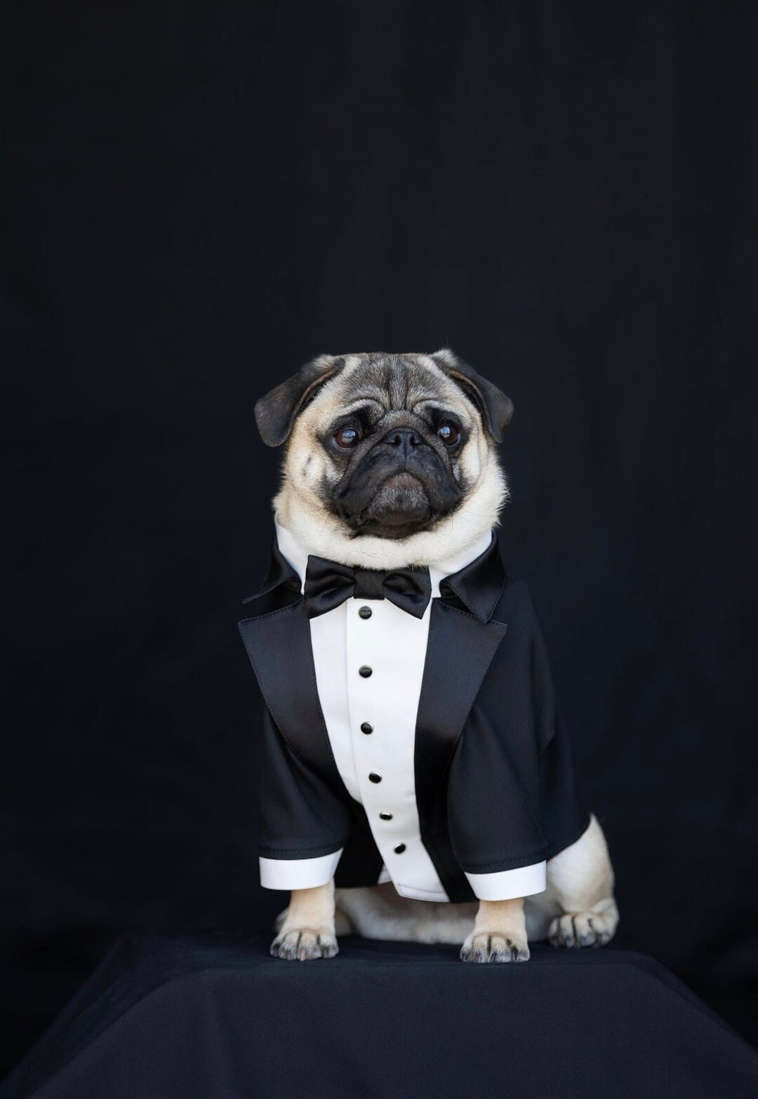 Black Satin Dog Tuxedo: Custom Wedding Outfit - Etsy