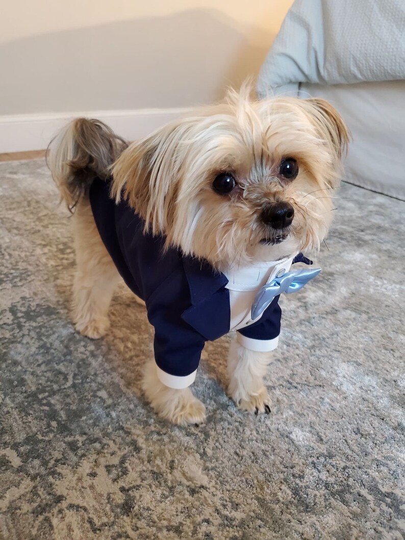 Navy Blue Dog Tuxedo With Sky Blue Bow Tie Bespoke Dog Tuxedo - Etsy