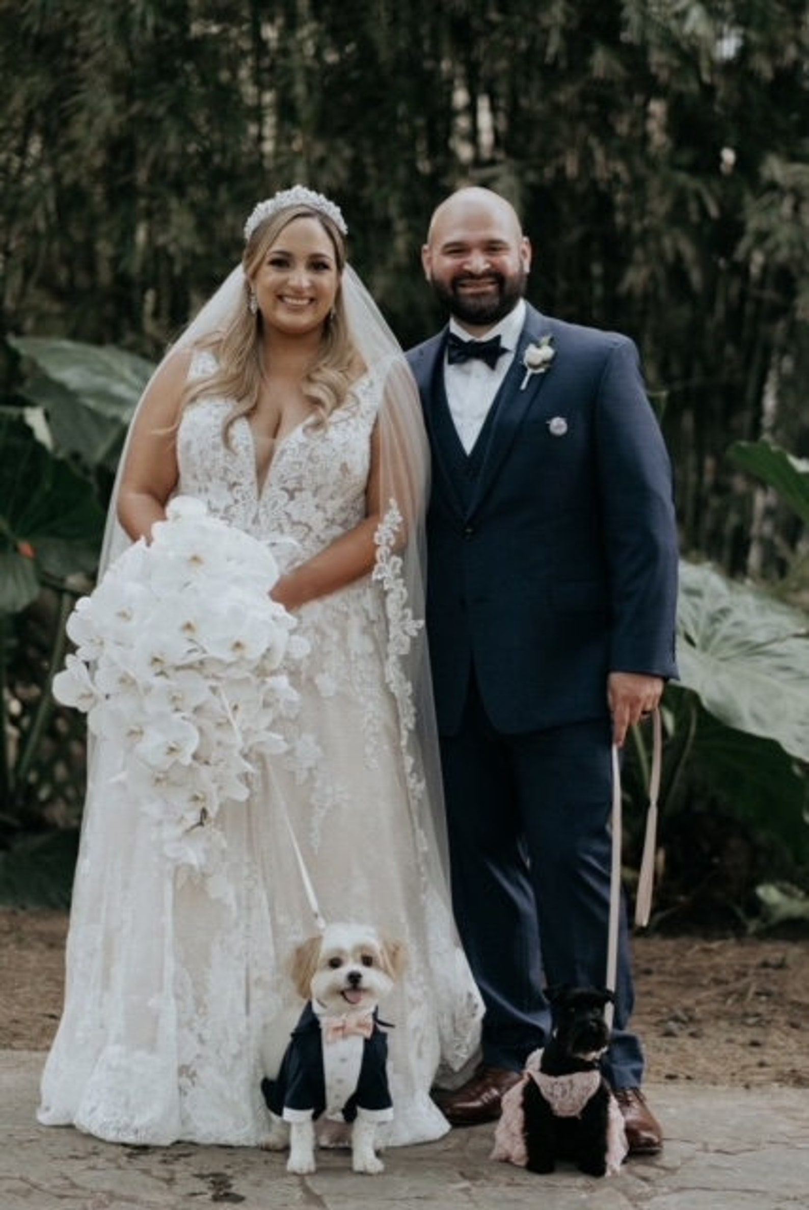 Maltese Dog Wedding Suit With Blush Bow Tie Dog Wedding Attire - Etsy