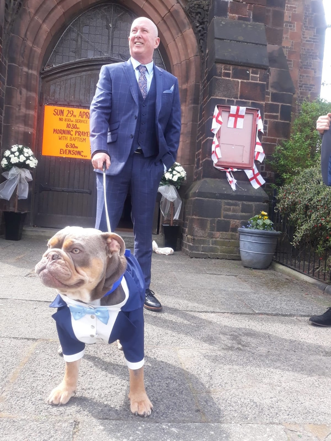 Navy Blue Dog Tuxedo With Sky Blue Bow Tie Bespoke Dog Tuxedo Dog ...