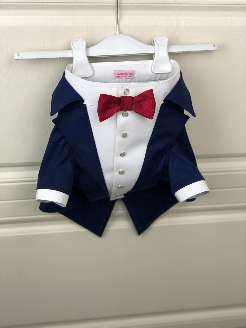 Bespoke Navy Blue Dog Tuxedo With Burgundy Bow Tie French - Etsy