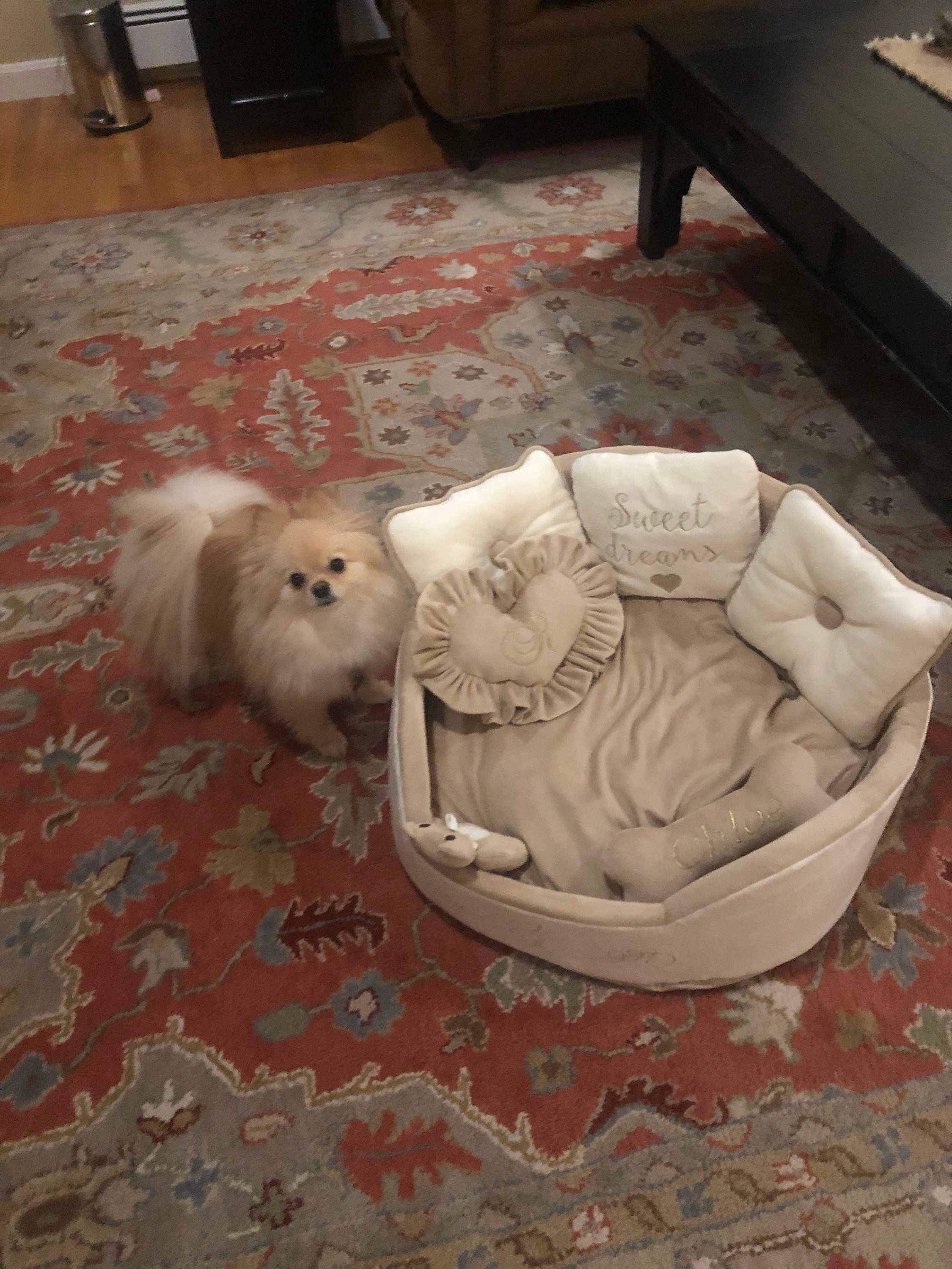 Beige and Cream Designer Dog Bed Cream and Beige Royal Dog Bed - Etsy
