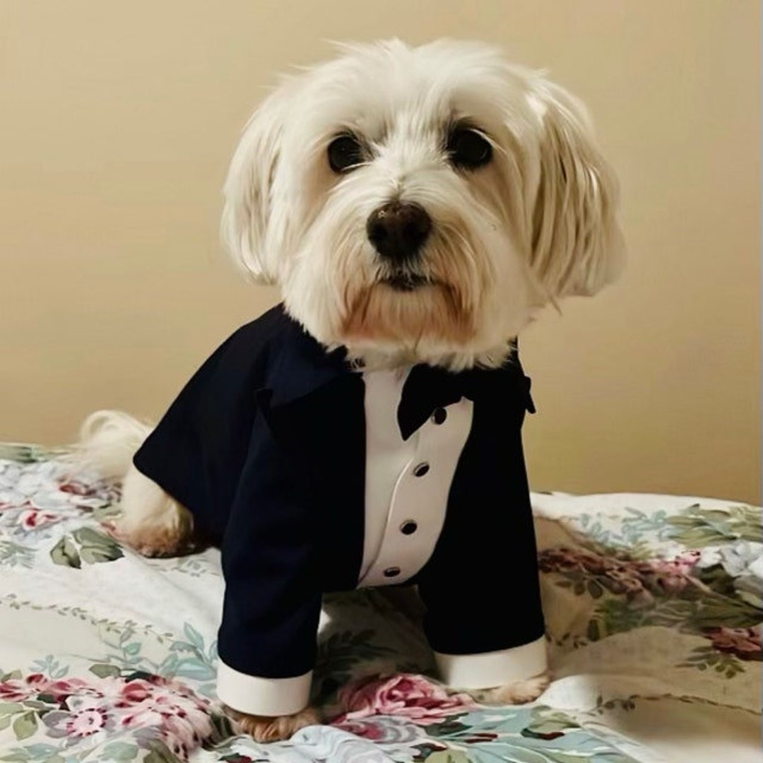 Bespoke Navy Dog Tuxedo: Handmade Wedding Outfit With Bow Tie - Etsy