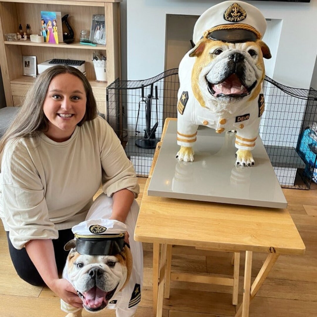Custom Sailor Dog Costume: Bulldog Captain Outfit - Etsy