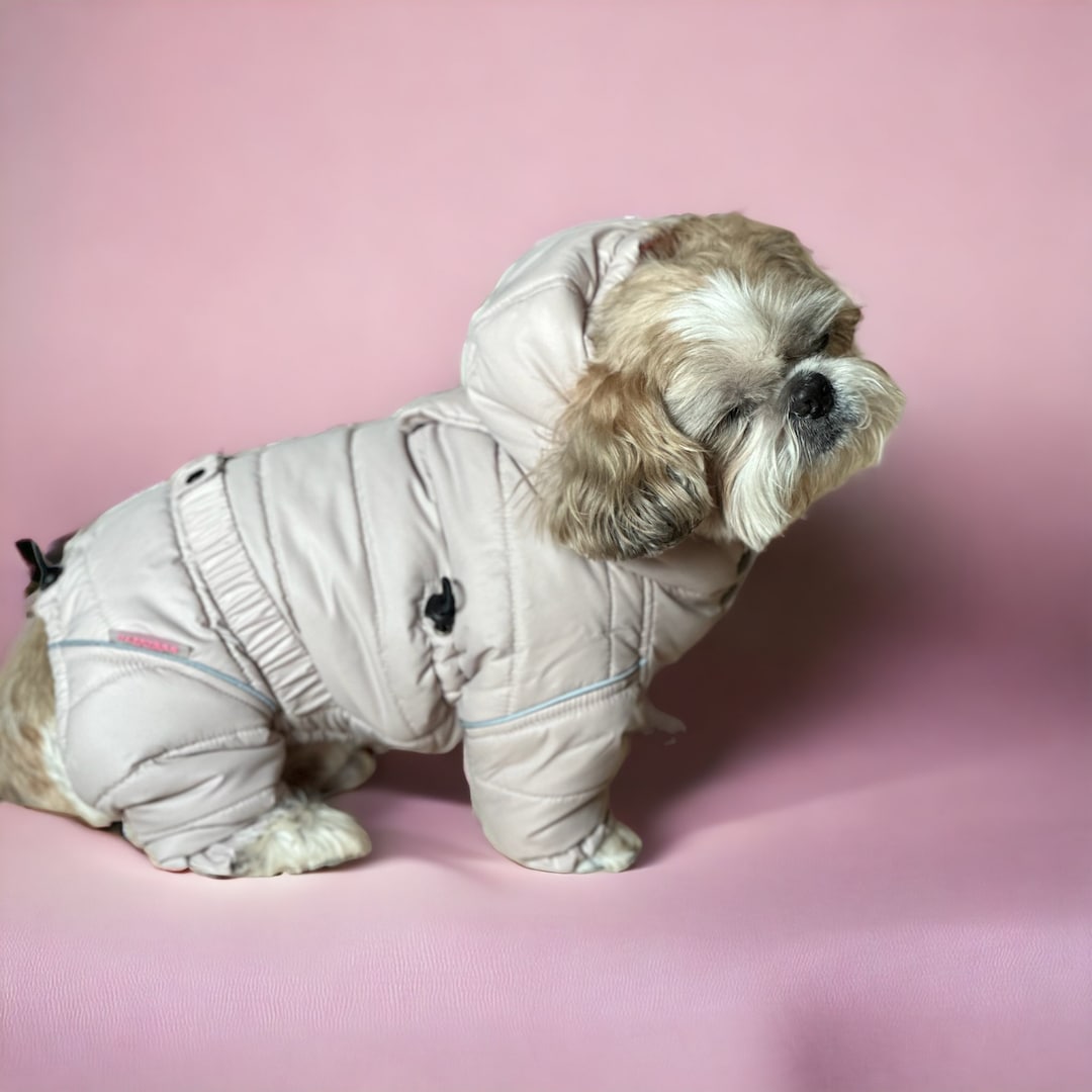 Beige and Orange Winter Dog Overall Puffer Dog Suit Wind Resistant Dog ...