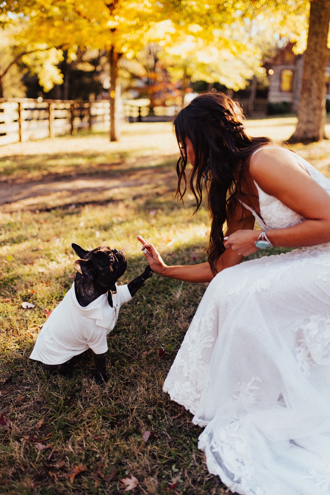White Dog Tuxedo French Bulldog Suit Formal Dog Tuxedo Custom Made Dog ...