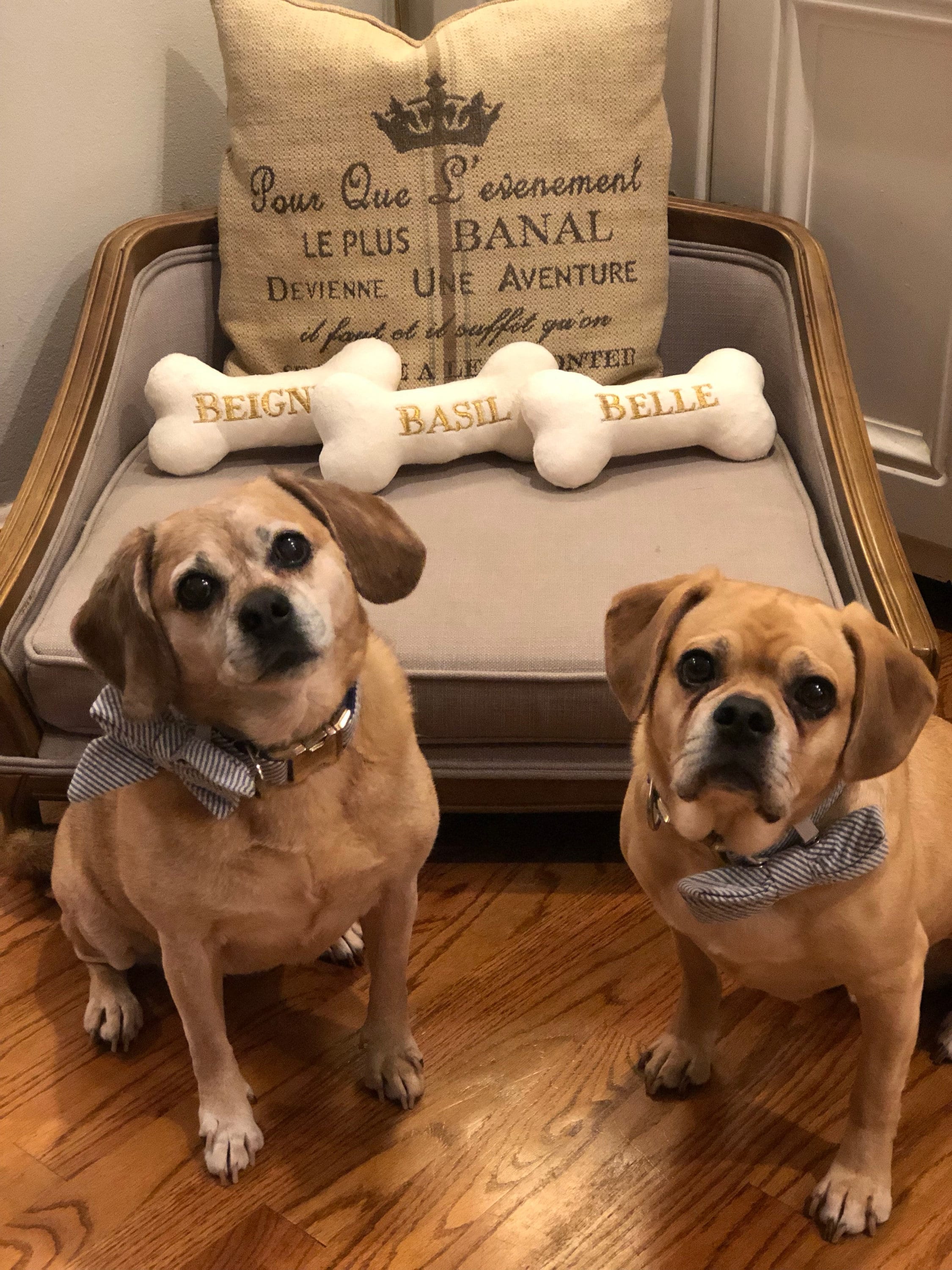 Personalized Dog Bone Toy: Custom Embroidered Gift - Etsy