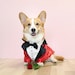 Red Sequins Dog Tuxedo With Black Bow Tie Dog Wedding Attire - Etsy