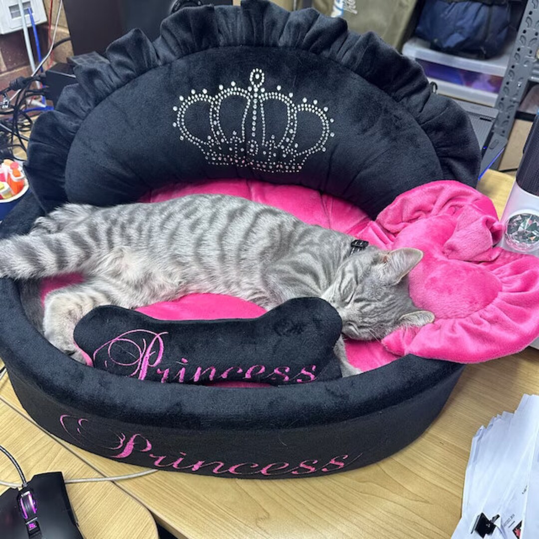Black & Hot Pink Princess Pet Bed With Crown Rhinestones - Etsy