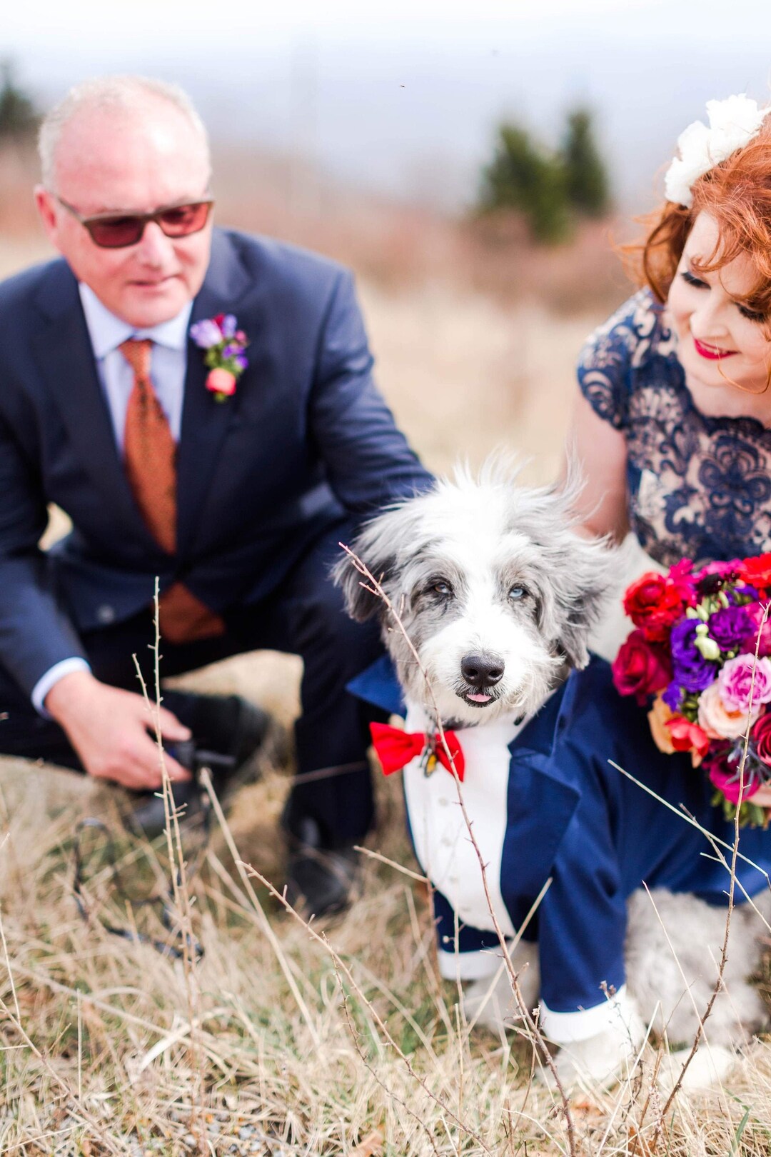Navy Blue Dog Tuxedo With Red Bow Tie Dog Wedding Formal Suit Luxury ...